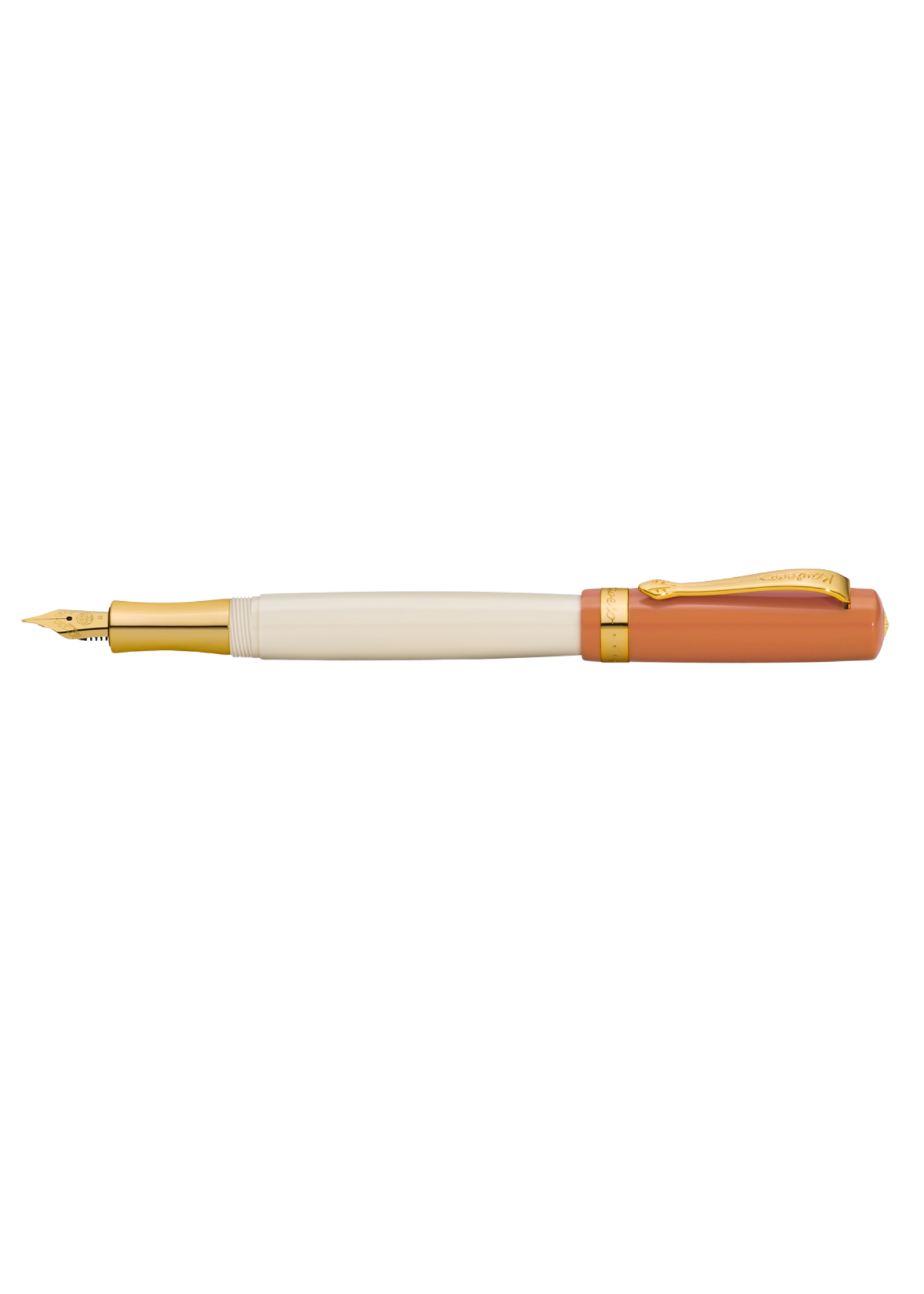 70's Soul Student Extra Fine Fountain Pen – The Center of Order and ...